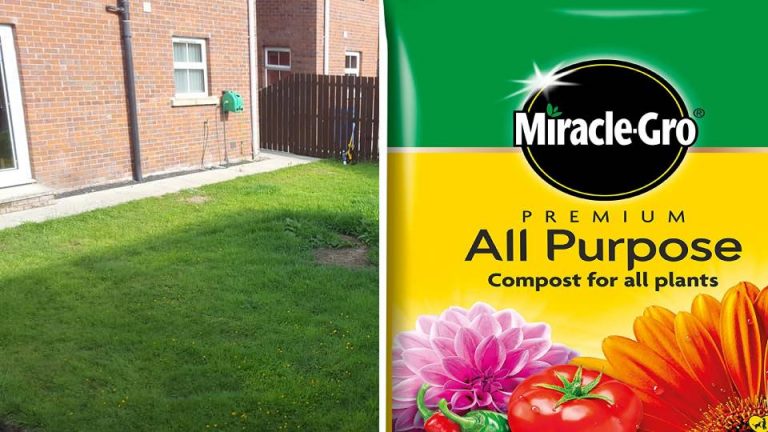 5 Best Multi Purpose Compost Buys in the UK | 2025 Reviews