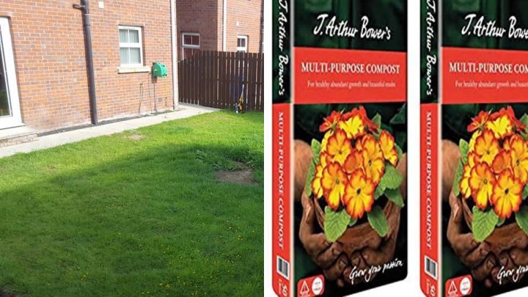 5 Best Multi Purpose Compost Buys in the UK | 2025 Reviews