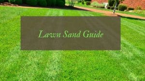 What is Lawn Sand and What Does it Do? - Garden & DIY Blog